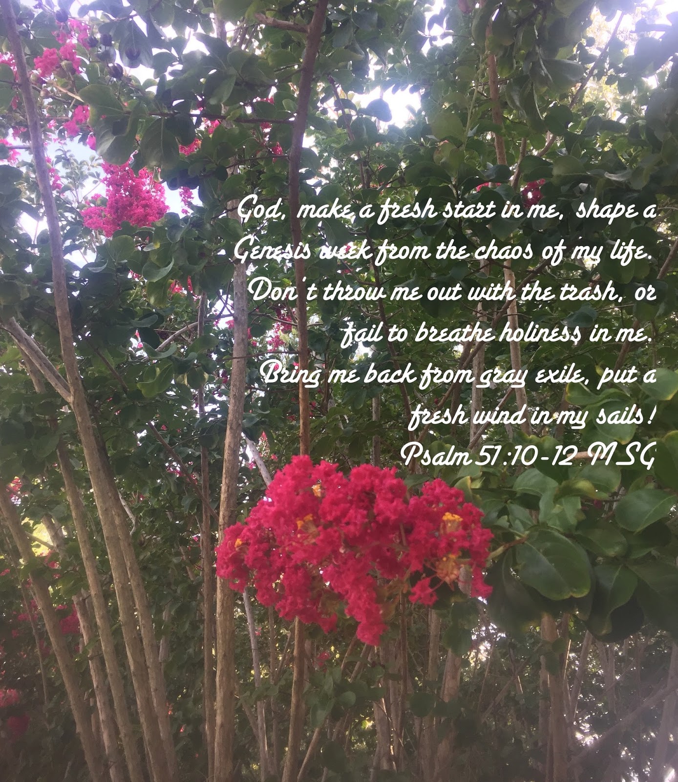 My Strength Psalm 51 10 12 Create In Me A Clean Heart 