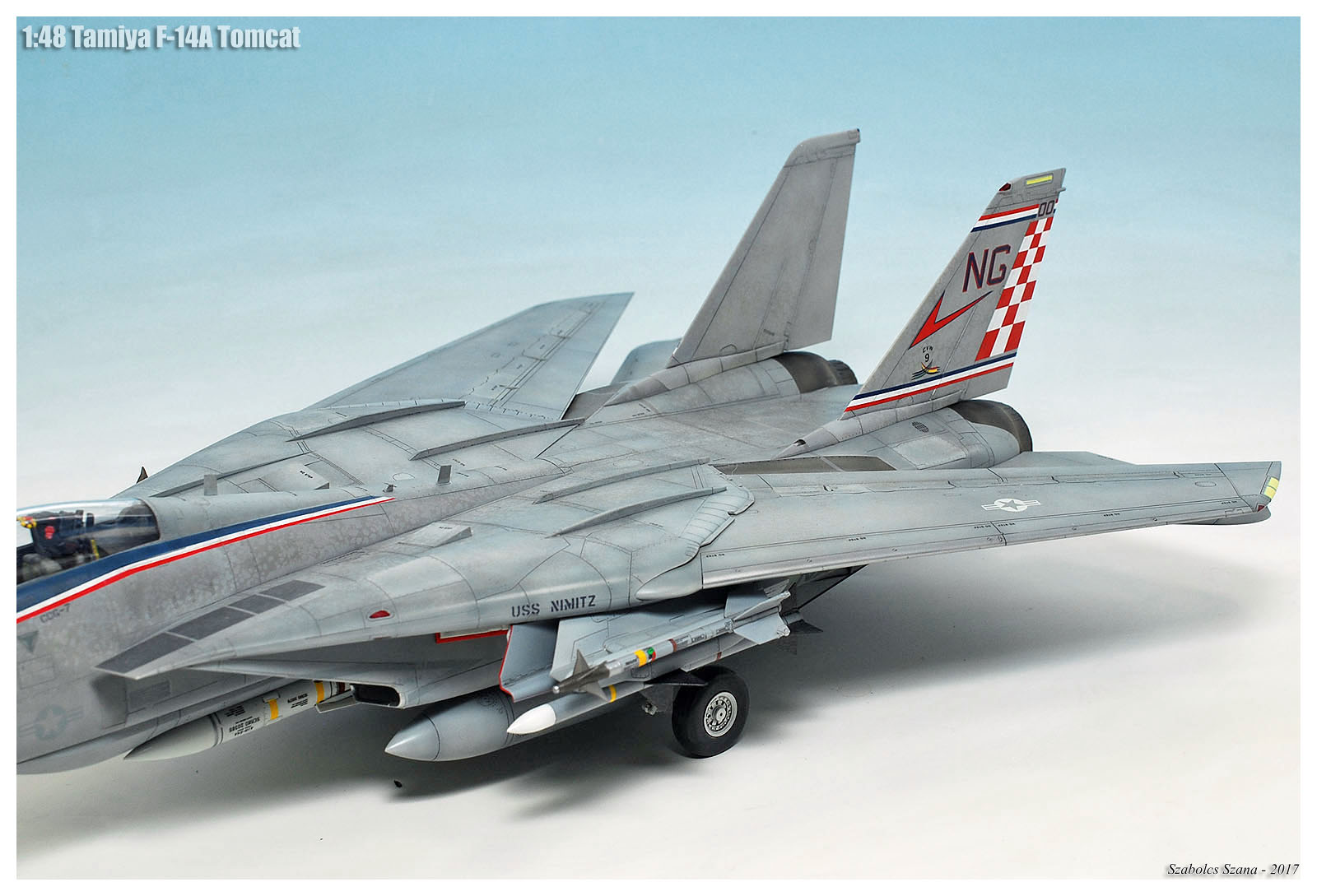 Wings of Glory: 1/48 Tamiya F-14A Tomcat