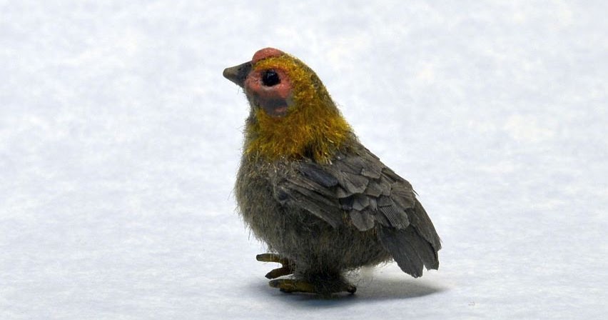 Miracle Chicken: Miracle Chicken