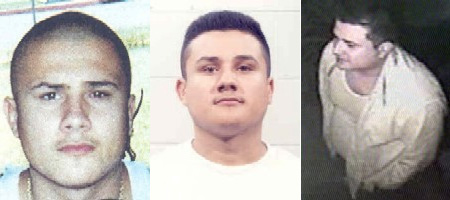 Public Enemies: The FBI Most Wanted