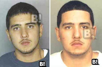 Four legged friends (and enemies): New York: After Christopher Chabrier ...