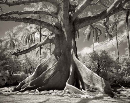 bensozia: Beth Moon
