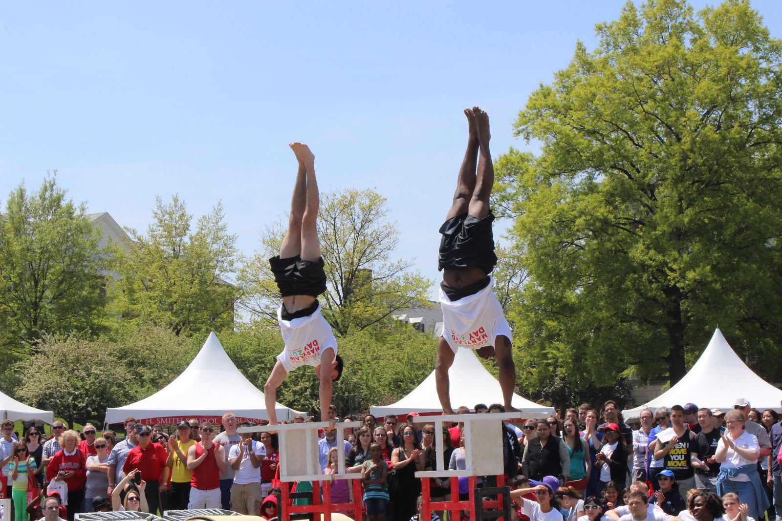 University of Maryland School of Public Health: The Healthy Turtle ...