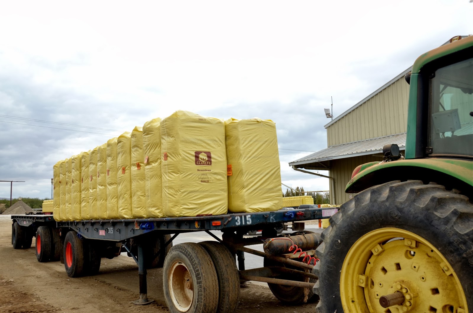 Sustainable Ag: A View from the Field: Giving Thanks to an Uneventful ...