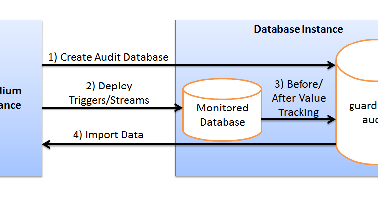 INSIGHTS: Before/After Value Change Auditing in Guardium