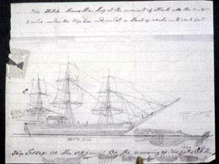 The Story of the Whaleship Essex