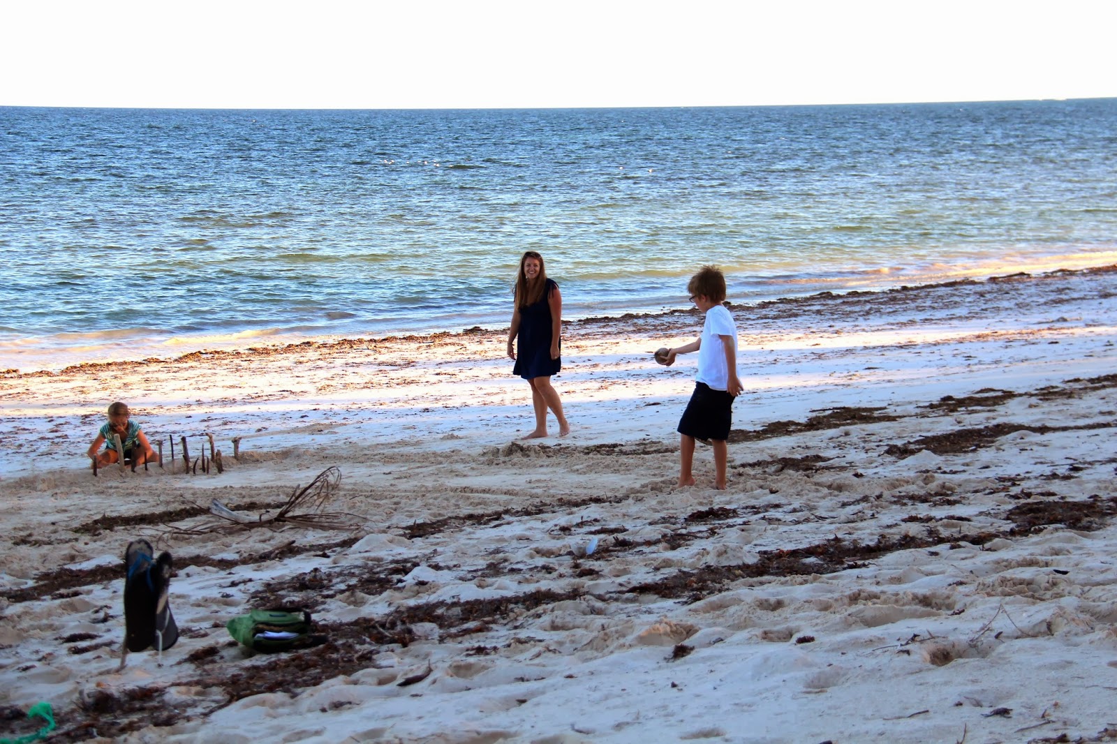 The Fairbourne Identity: Back to the Shamba La Salama