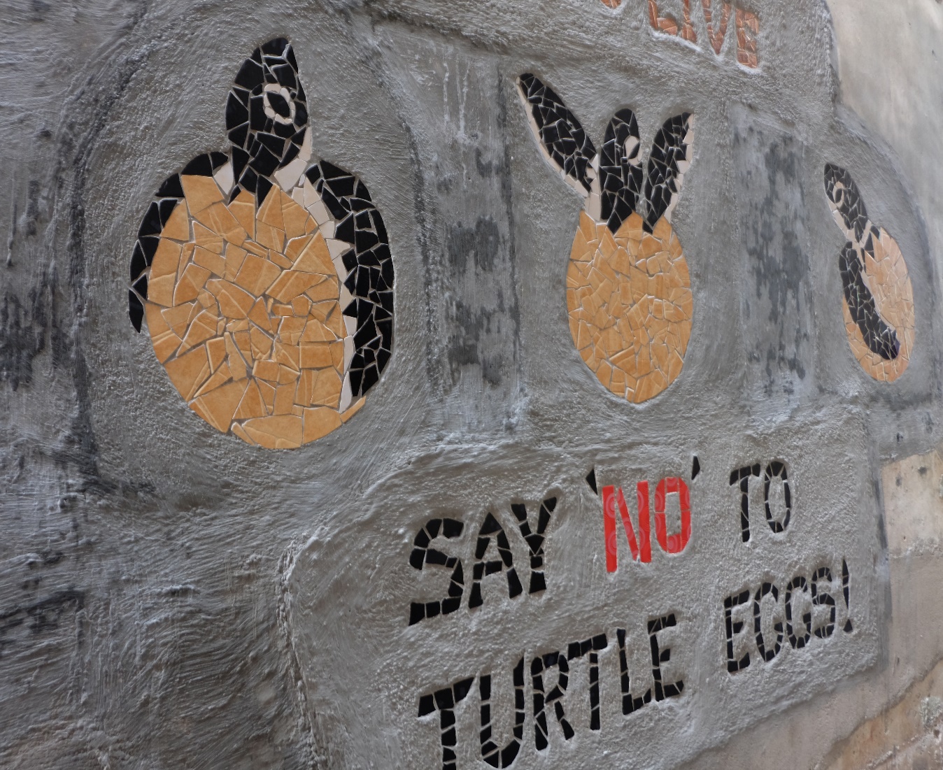 hana : THE HERITAGE OF CHINATOWN, TERENGGANU