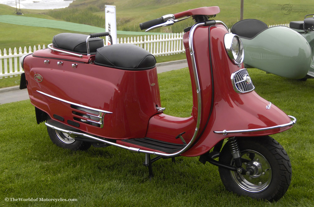 Japonica: Fuji Rabbit