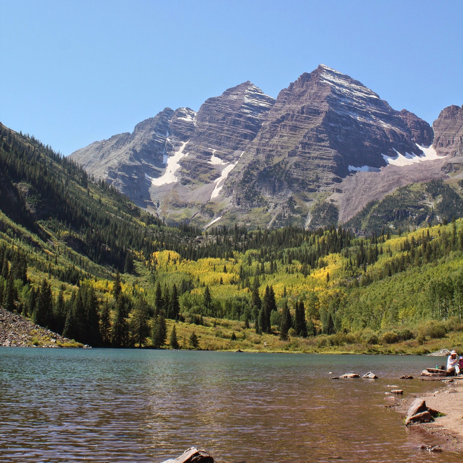 Sparrows & Spatulas: maroon bells, aspen (the good, the bad, and the ugly)