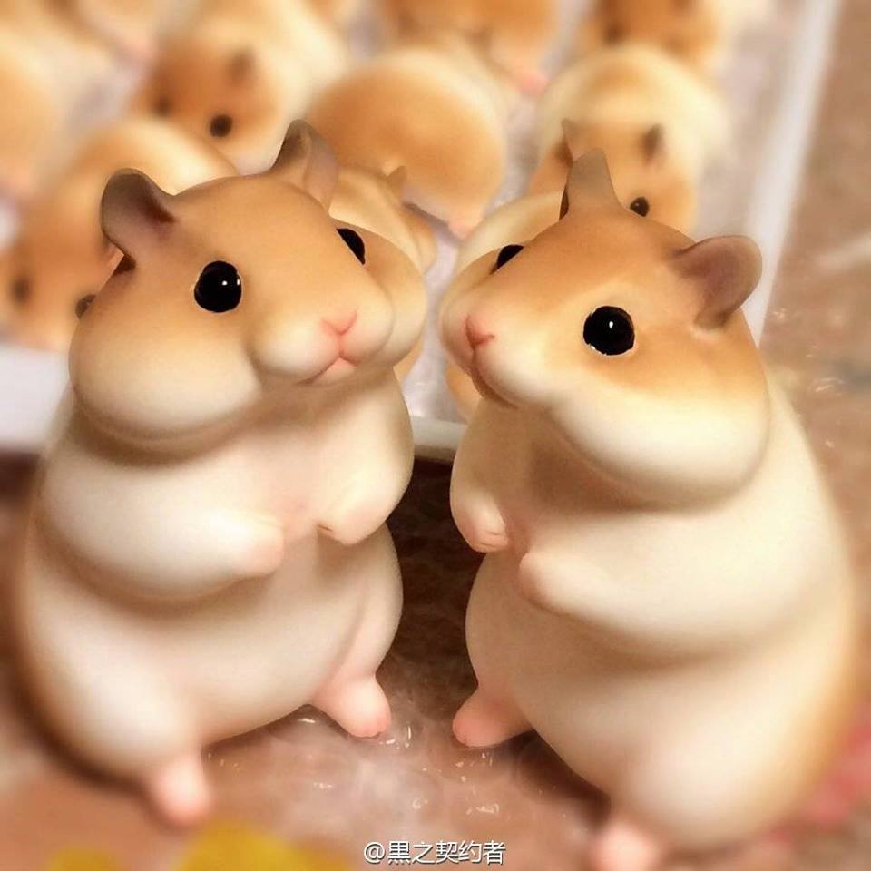 Meanwhile in Japan...Hamster Bread! | Get Inspired