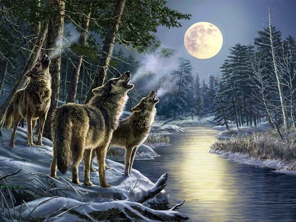 White Wolf : James Meger - Wildlife artist who paints with hidden ...