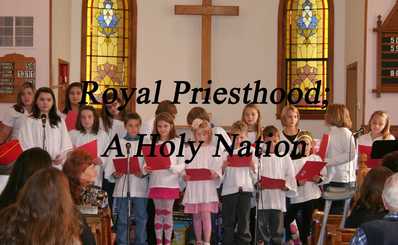 In the Wilderness: 1 Peter 2:4-25 Holy Nation