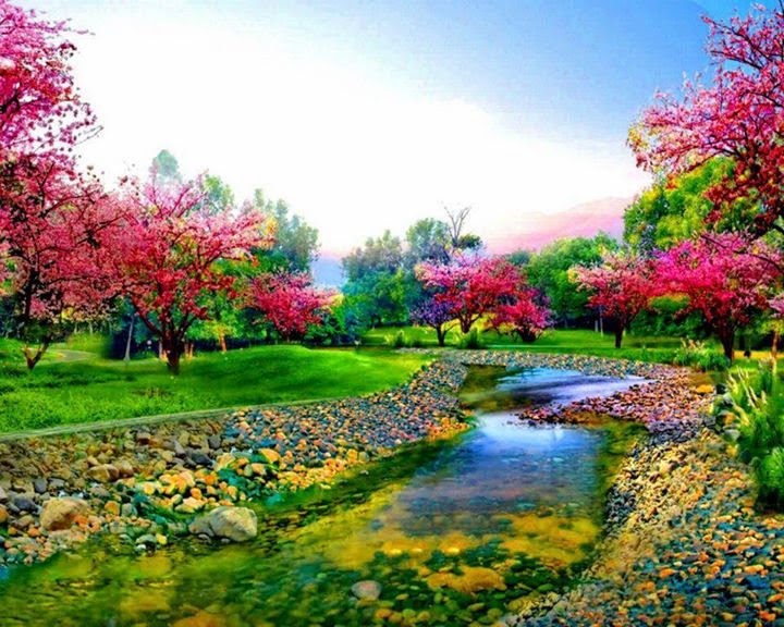 Beautiful Wallpapers for Desktop: Beautiful Desktop HD Wallpapers