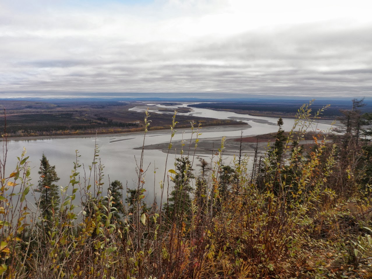 From the Silicon to the Tanana Valley: The Tanana Report