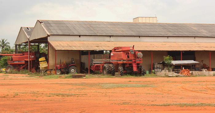 Aveyime Rice Project dead; Over 500 workers sent home without pay