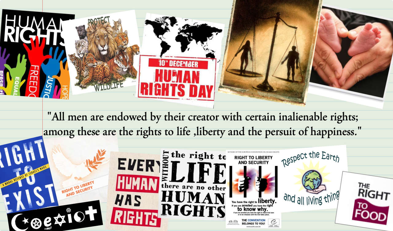 Eco Pals: 01/12/2011