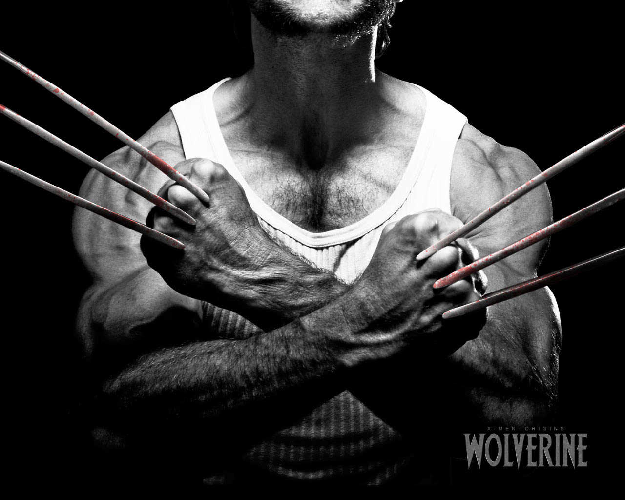 Why we love Wolverine!!! - Passionate views