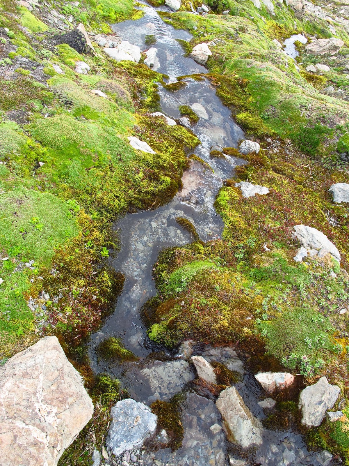 marcello cominetti Mountain Guide: IL RUSCELLO PERFETTO
