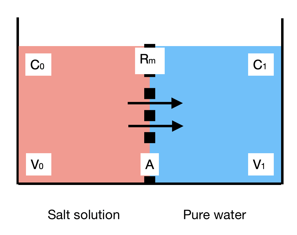 エンジニアへの道: Batch mass transfer and mass conservation
