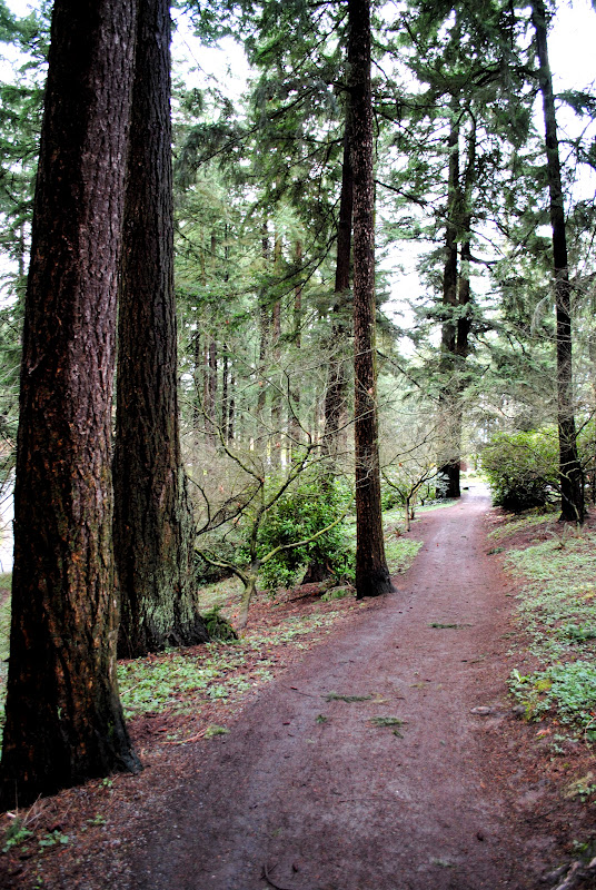Black Watch Sasquatch: Mt. Tabor Park - Portland, Oregon
