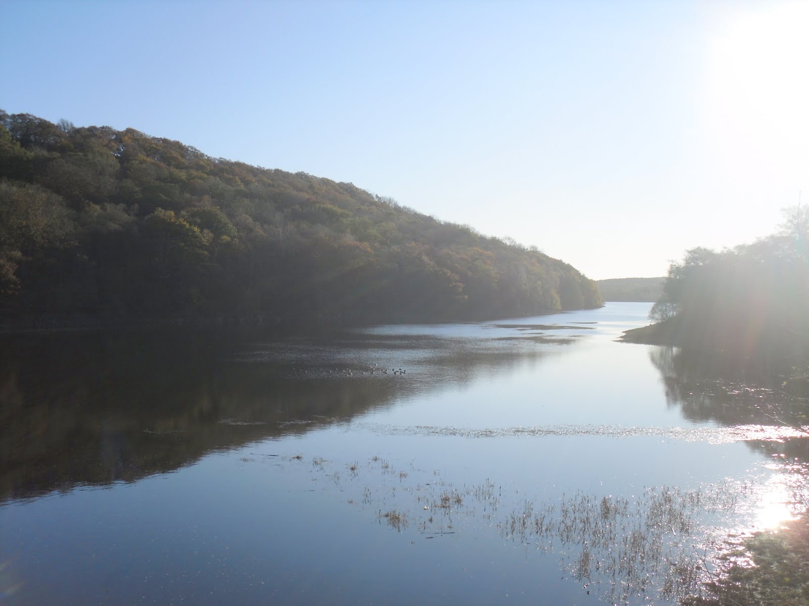 Rambling Nana: Wolsingham, Tunstall Reservoir Circular