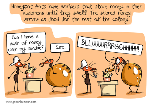 Green Humour: Ant cartoons for Arastirmaci Cocuk Merkezi