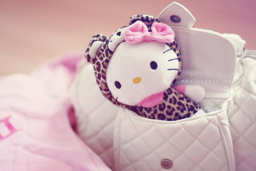 HELLO Kitty Obsession - Irresistible Icing