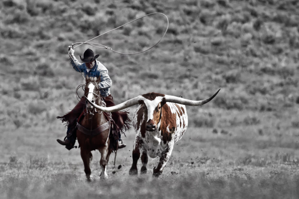 Cow - Boy ~ Time To Us