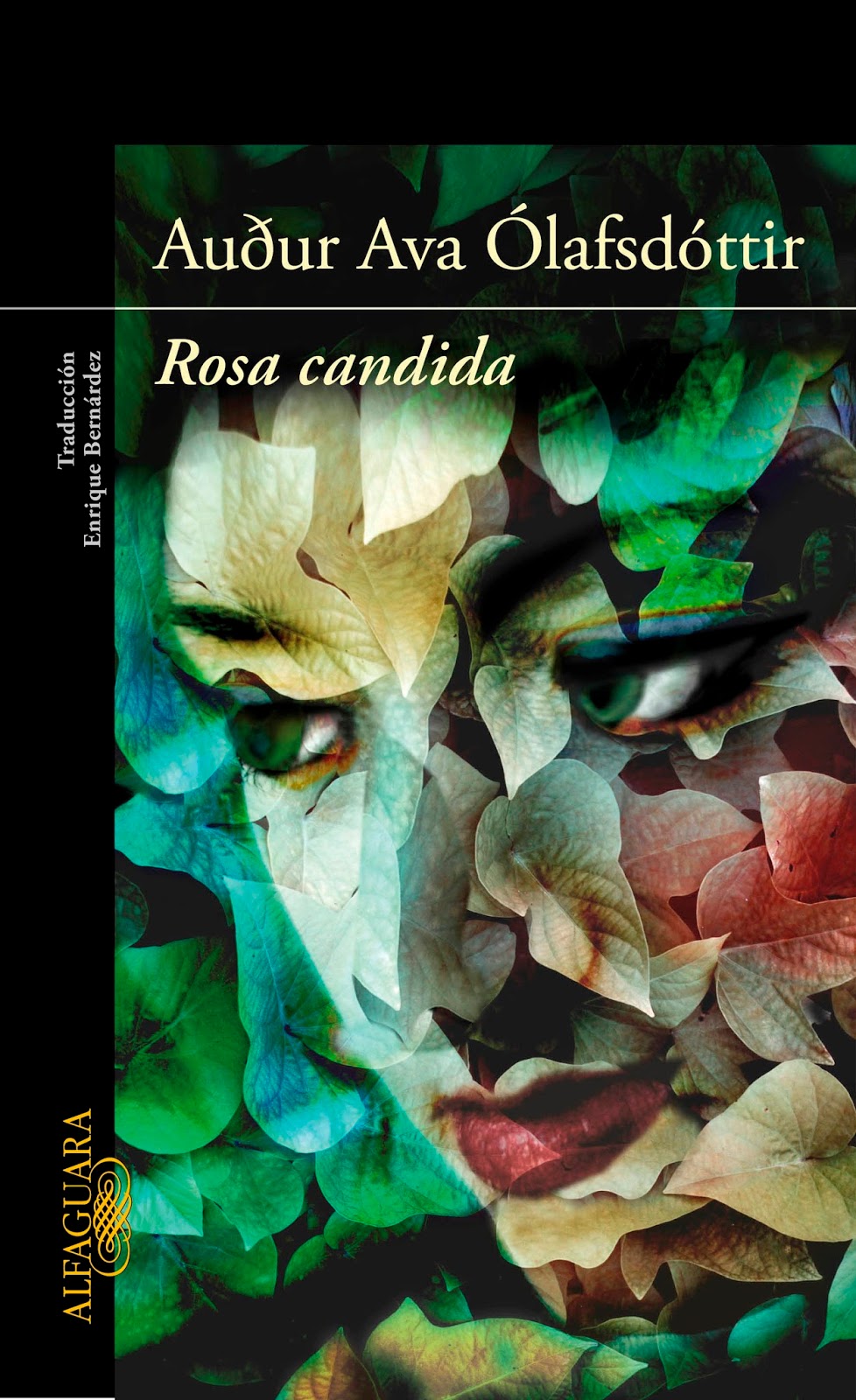 Jimena de la Almena: RESEÑA: Rosa Candida.