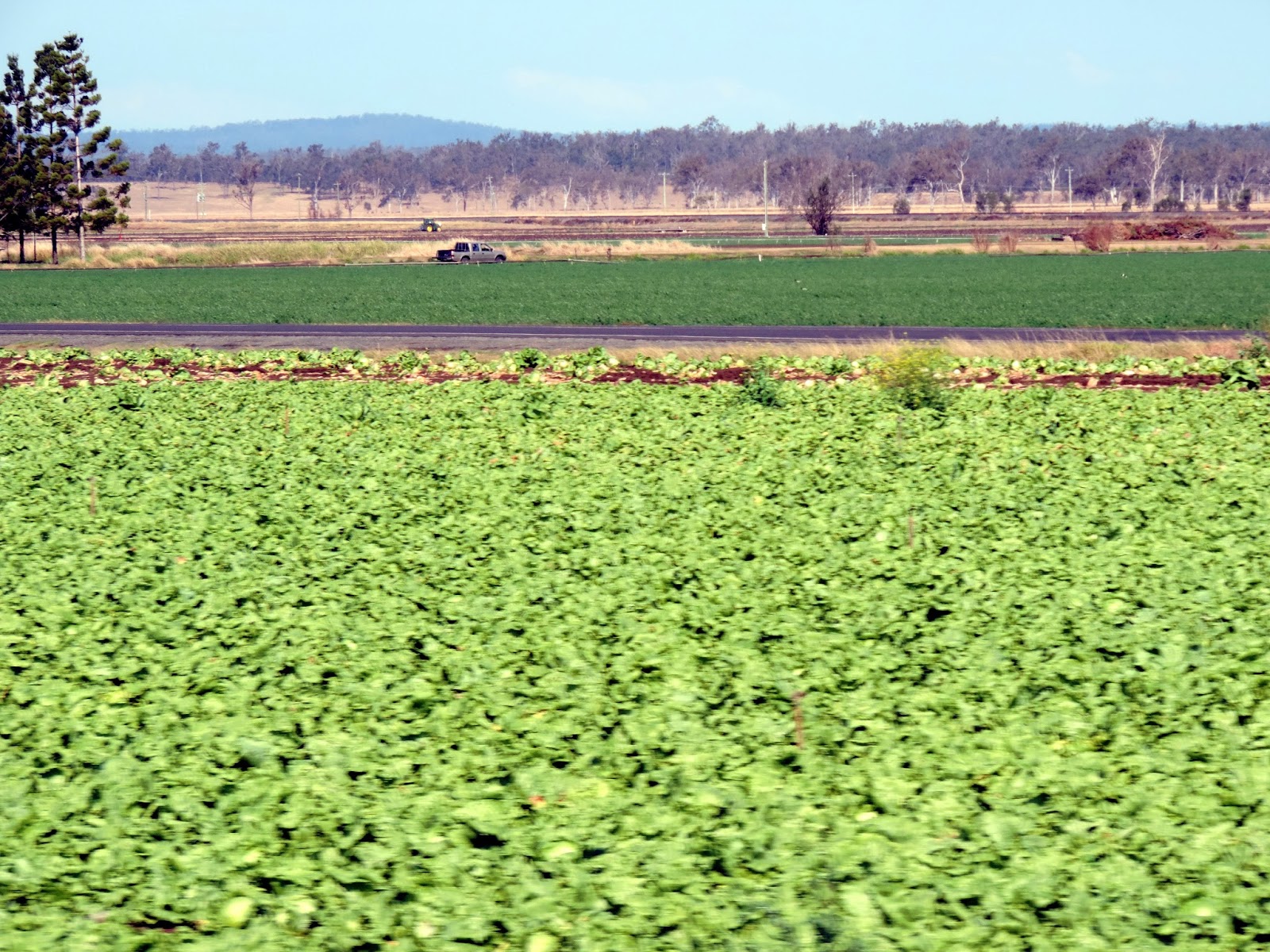 Des & Bev's 4th big lap of Australia 2015: To Kyogle NSW