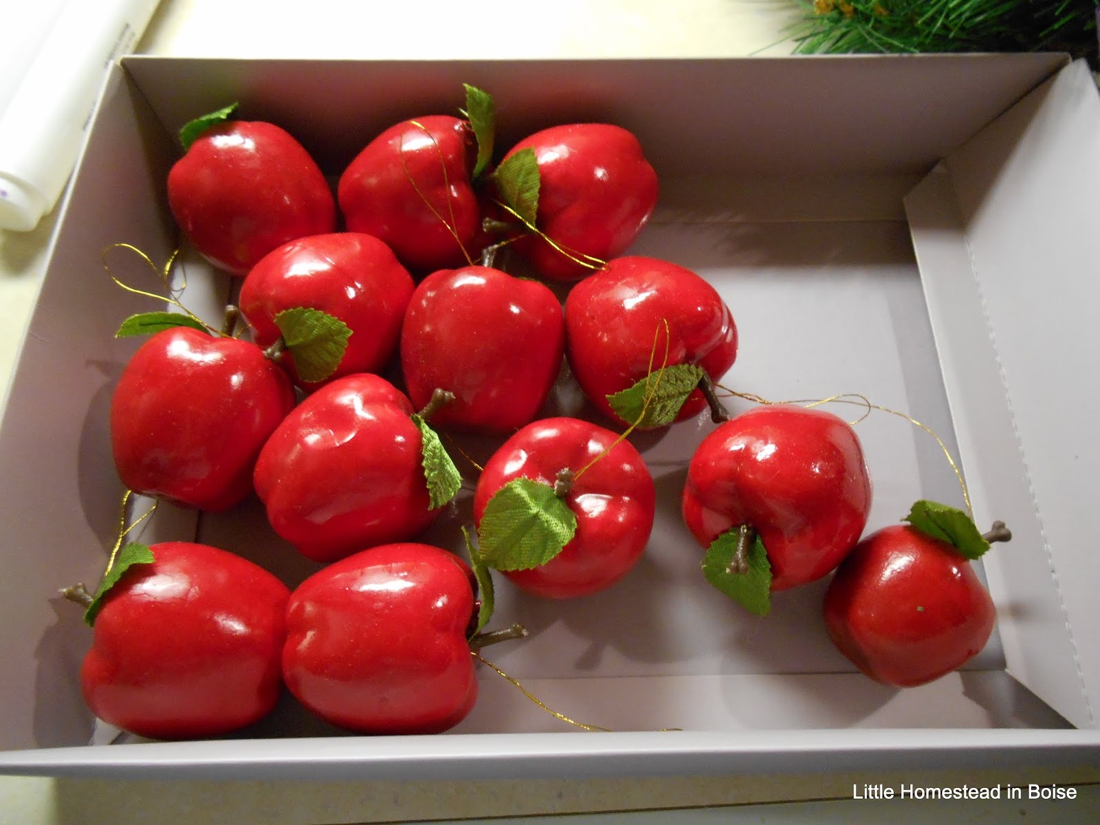 Little Homestead In Boise : Low Cost Ways To Keep Your Home Warm In The ...