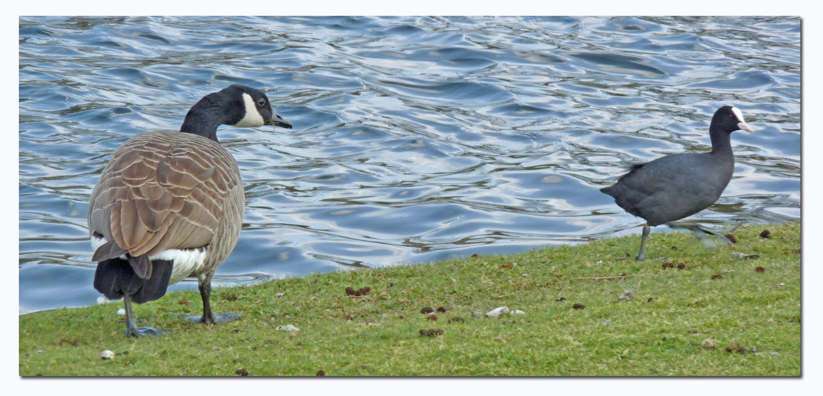 Wild and Wonderful: Seasonal Splash: Spring is in the Air (we hope ...)