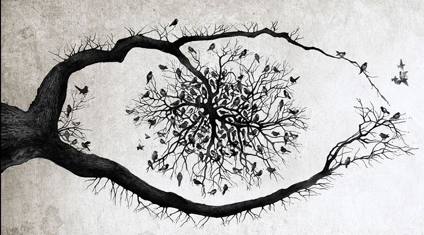 RIMtailing: Picture the Power of Visual Metaphors