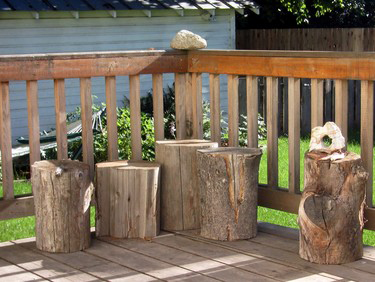 Gone Thrifting: Tree Stumps