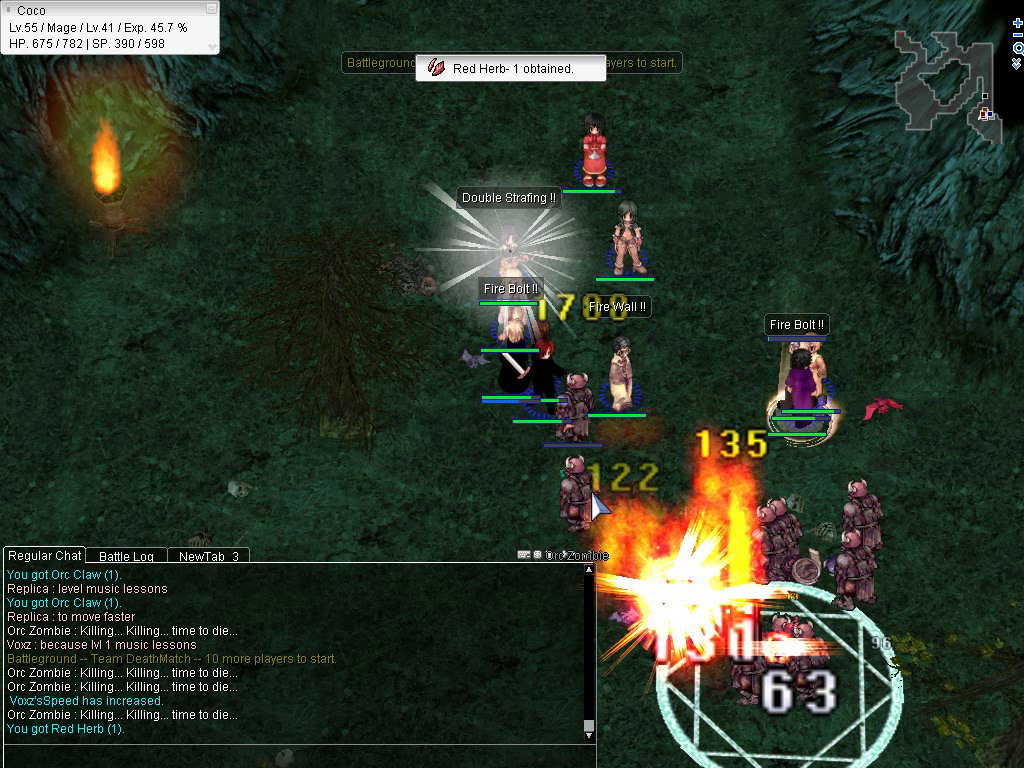 My Life in Ragnarok: Back Again, AnimaRO - Day 1