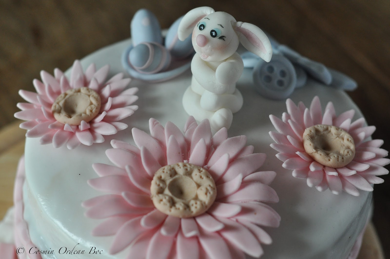 simplu si bun: Vine iepurasul!