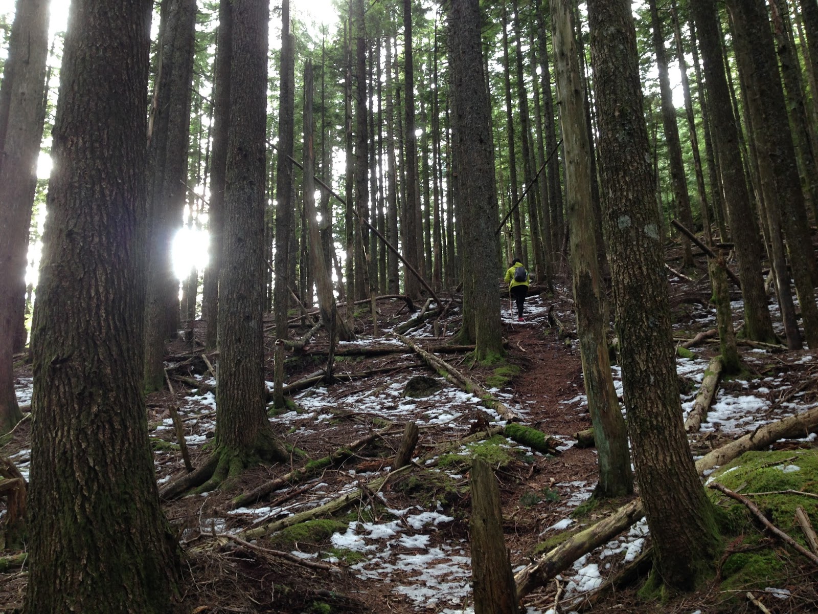 The Hapa Canadian: Dewdney Grind + Dewdney Peak, BC in November
