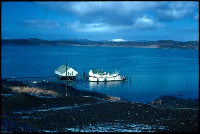 38 Beautiful Photos That Capture Everyday Life of Alaska From the 1950s ...