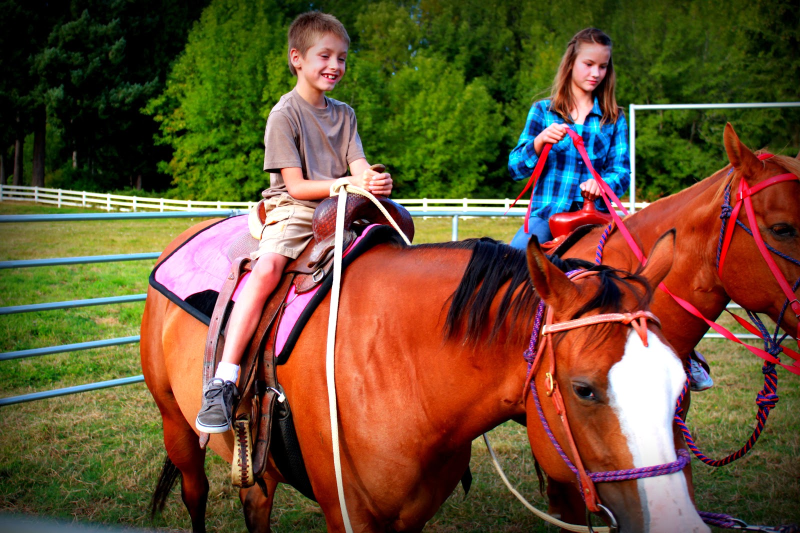 Guinn Family: My First Horsey Ride