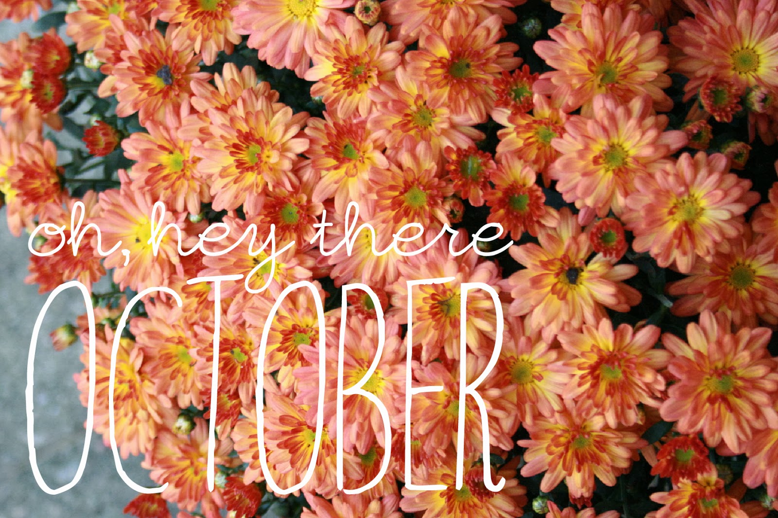 The Creative Place: oh, hey there october