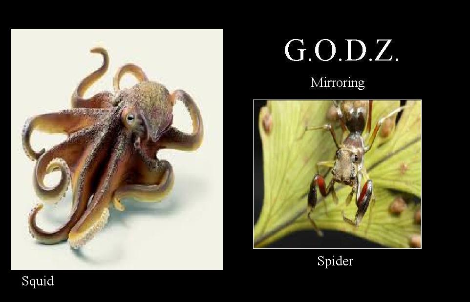 G.O.D.Z. Mirroring - Spider - Octopus | Spirit | Before It's News