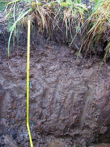 O Grand Canyon: A classificação dos solos no Brasil