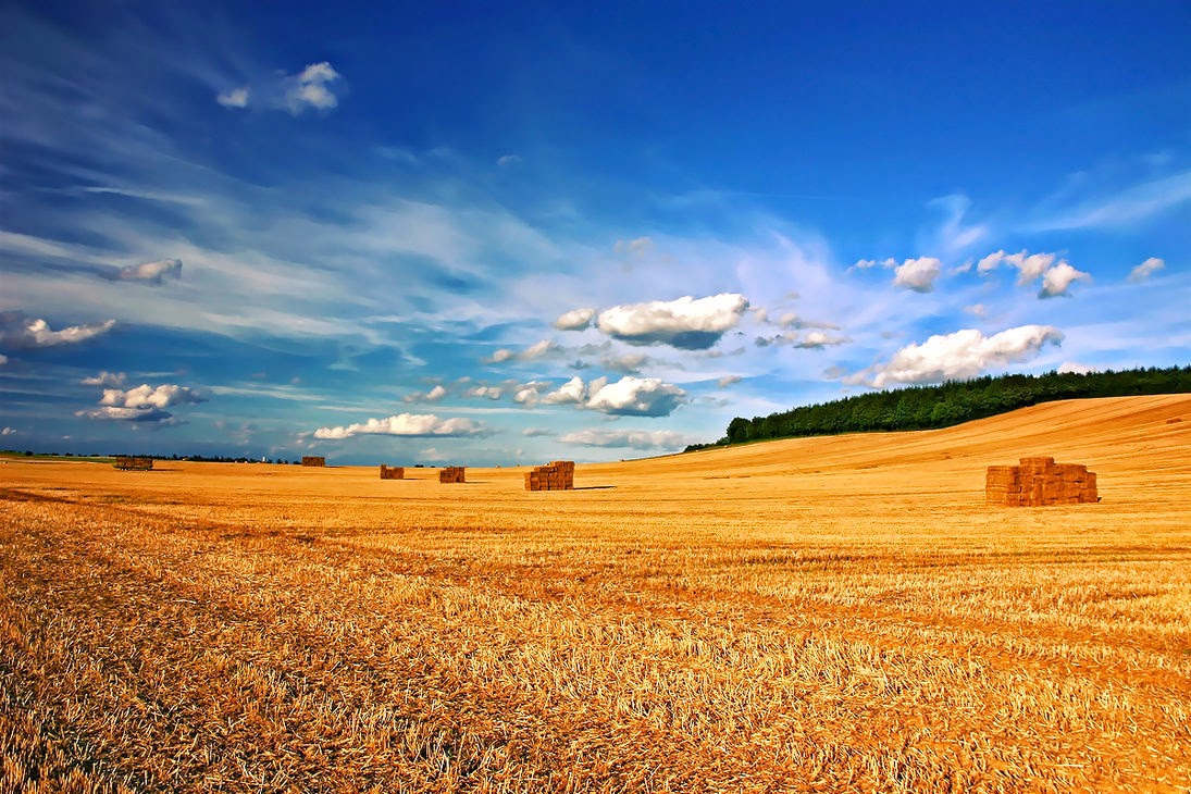 new wellpaper,photo,pictures,images | Free Funny Images