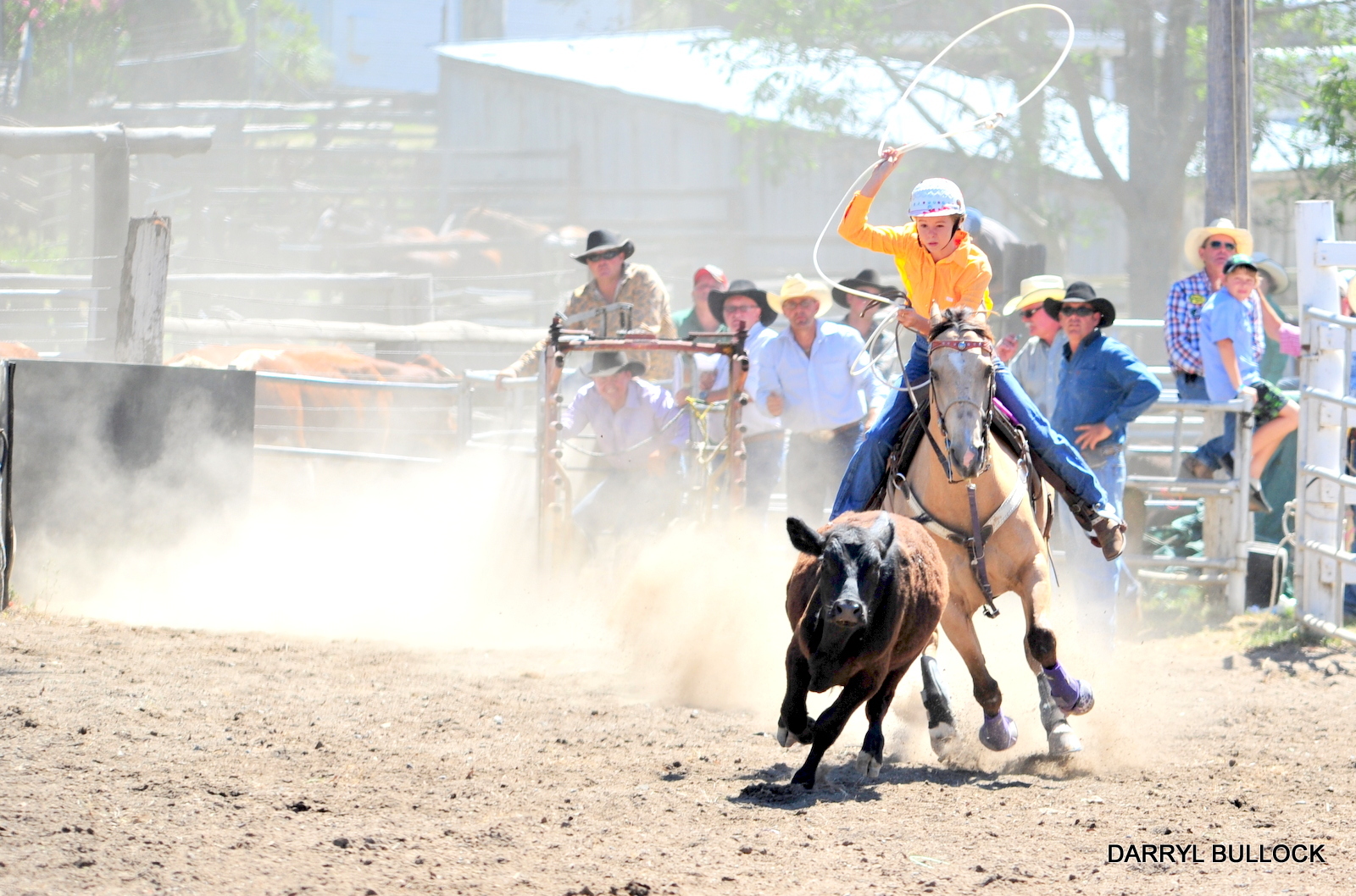 Darryl Bullock Photography: WINGHAM RODEO