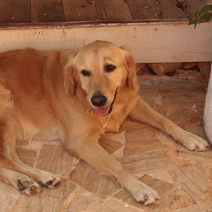 Bluefinch Boutique: September 2012