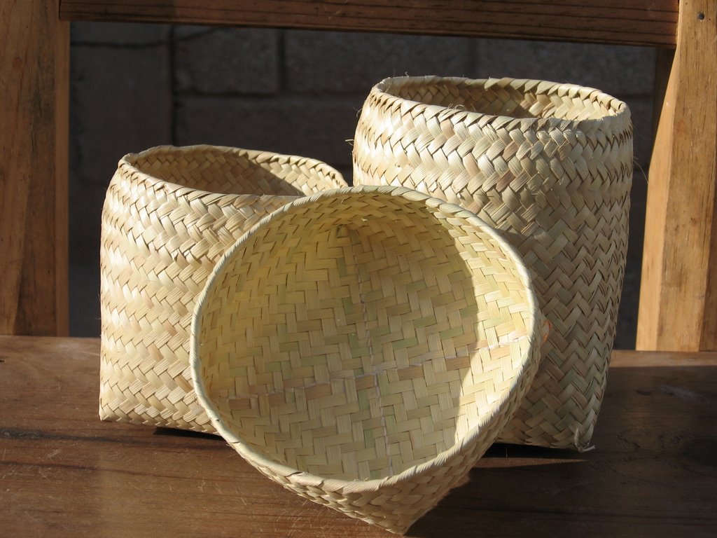 Ciudadano Frente Común : LOS TENATES, TENATE. Ixtle, Enequén