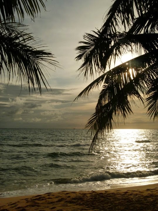 Travel - Posh Backpacking around South East Asia - Roses and Rolltops