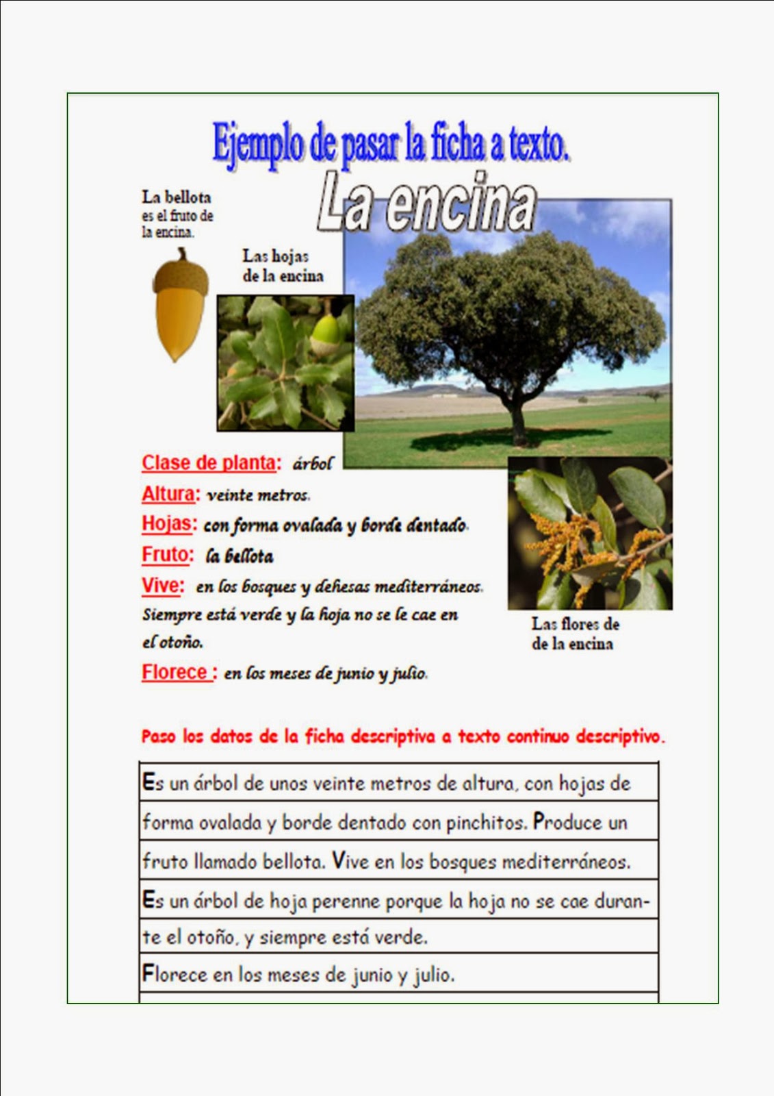 Texto Descriptivo Objeto , Características del texto descriptivo (con ...