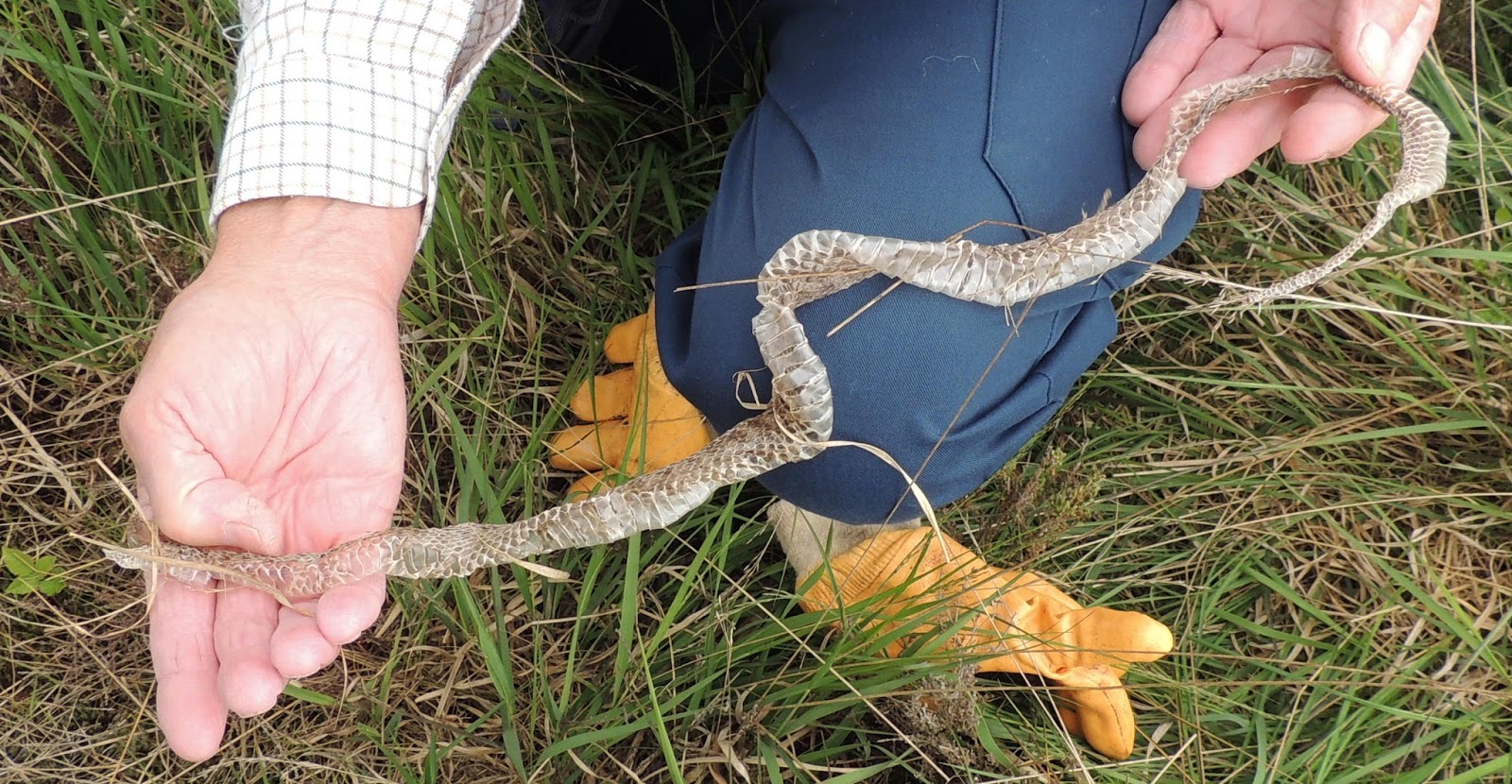 About a Brook: Another Survey Day